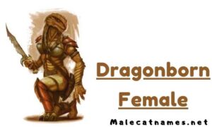 1000+ Dragonborn Names | Awesome List of Dungeons & Dragons – Male Cat ...