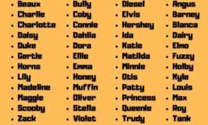 { 1000+ } Cow Names » Top Most Disney, Cartoon & Funny Cow Names