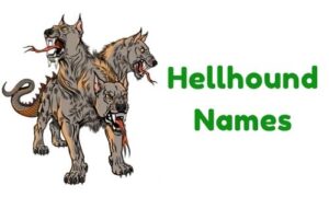 Hellhound Names Which are Most Unique and Famous All Over The Worlds ...