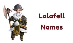 Lalafell Names Which are Most Famous All Over The Worlds – Male Cat ...