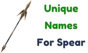 Spear Names Which are Most Unique and Famous All Over The Worlds – Male ...