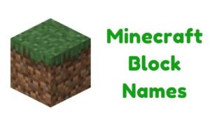 Minecraft Block Names Which are Most Unique All Over The Worlds – Male ...