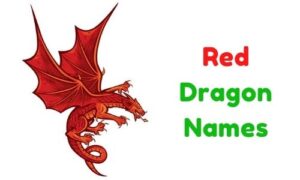 {1000+} » Red Dragon Names » [ Funny + Unique + Famous + Badass ]